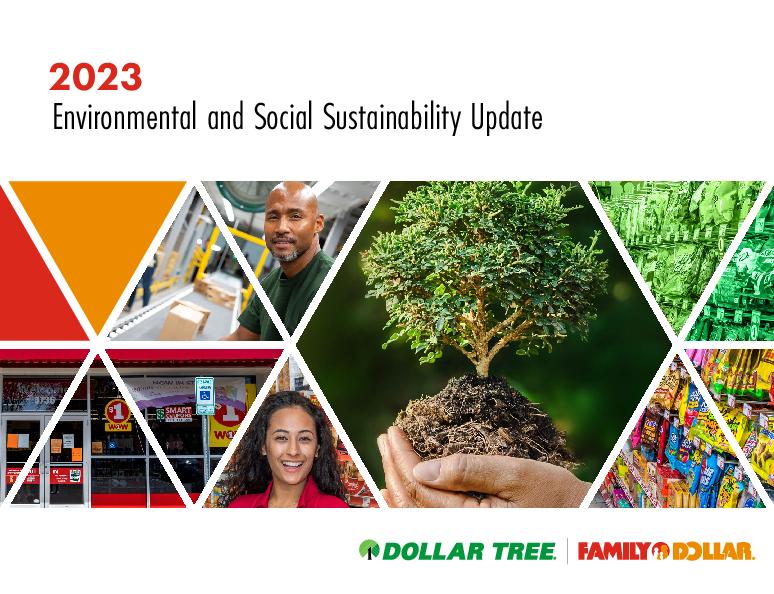 Values : Dollar Tree, Inc. (DLTR)