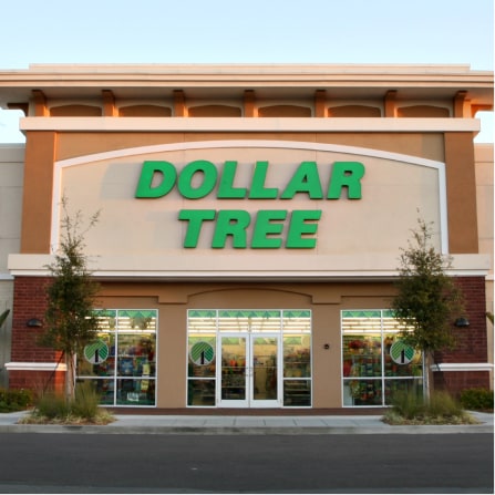 Dollar Tree Store Logo