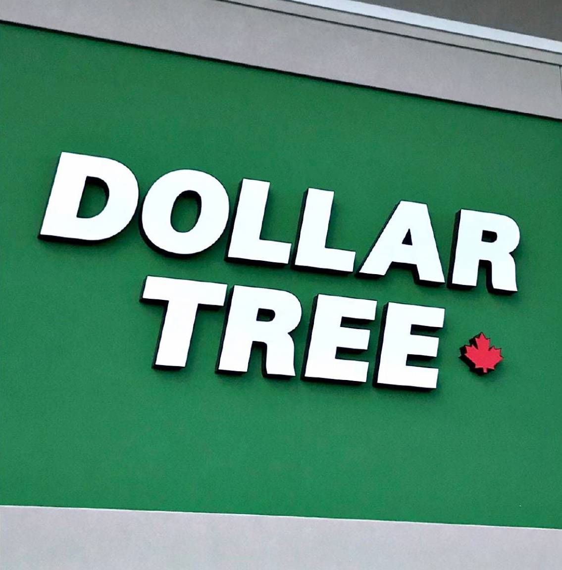 Dollar Tree Store Logo