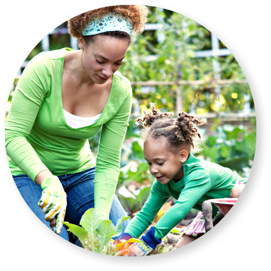 Values :: Dollar Tree, Inc. (DLTR)